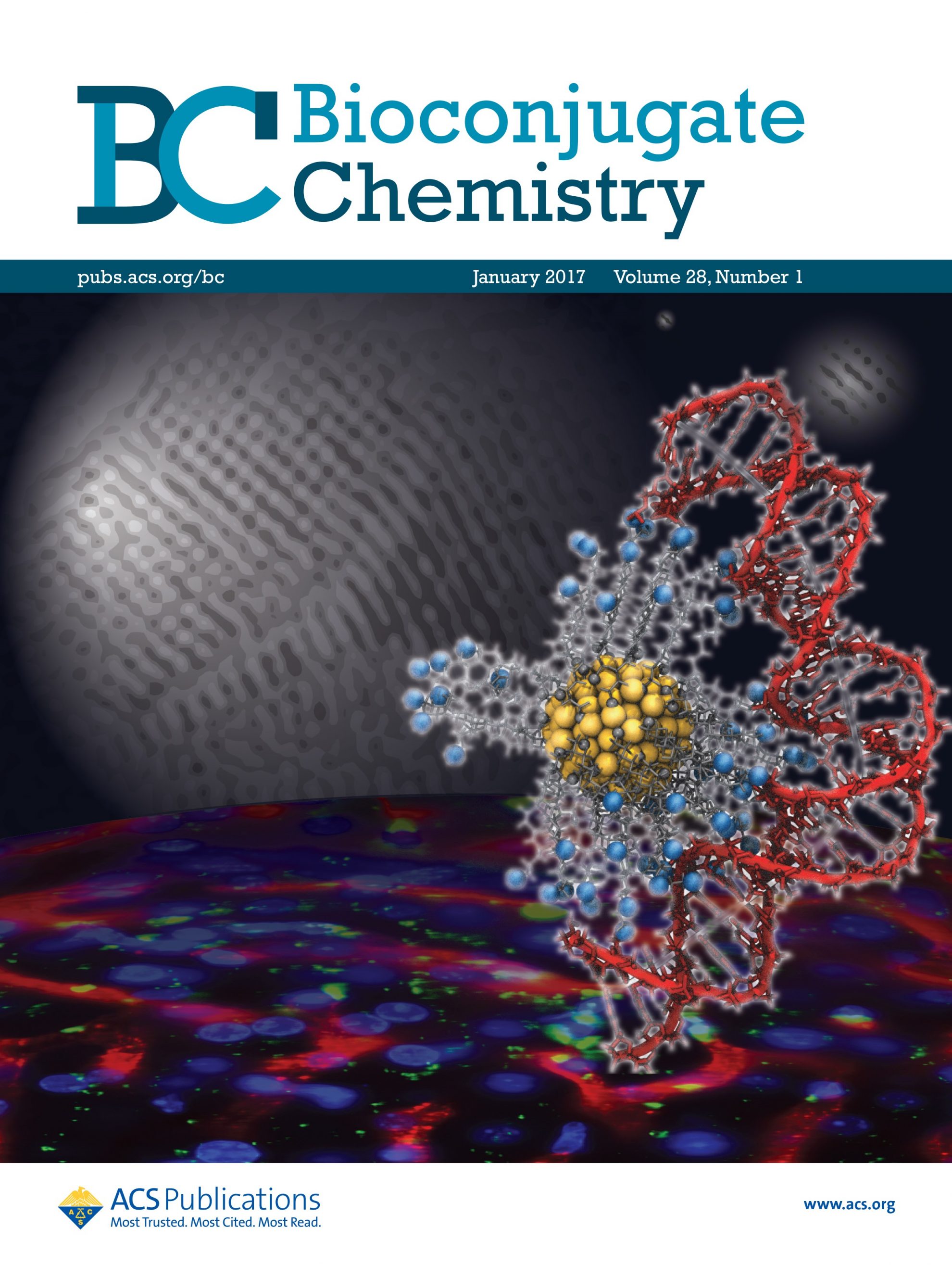 INBS – The Chan Lab